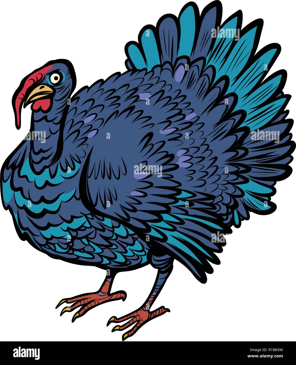turkey bird, thanksgiving day holiday. Isolate on white background ...