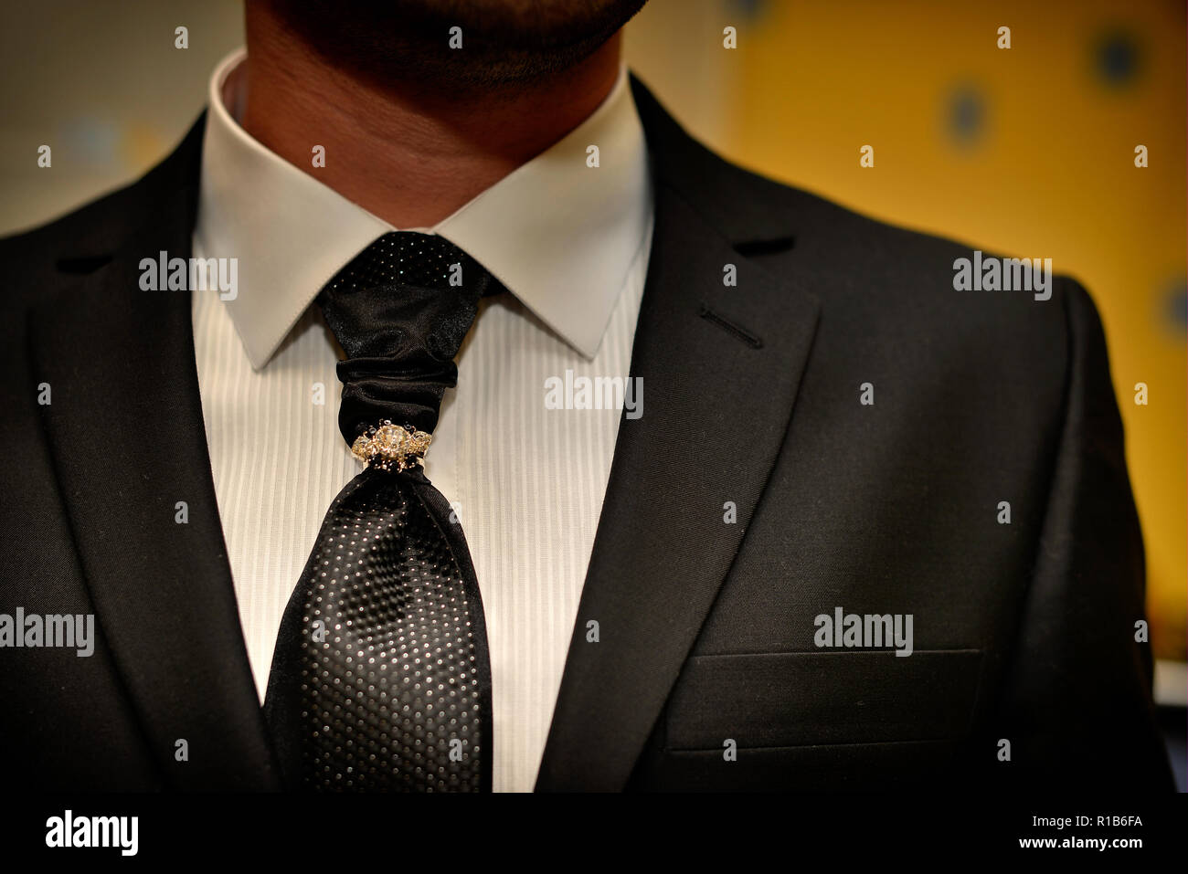 Expensive suit. Classically tie and luxury tie clip Stock Photo - Alamy