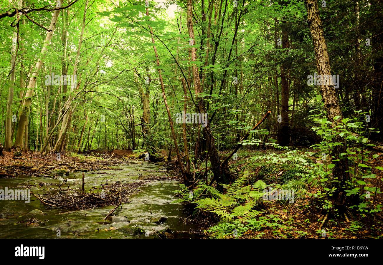 Ilsewnburg hi-res stock photography and images - Alamy