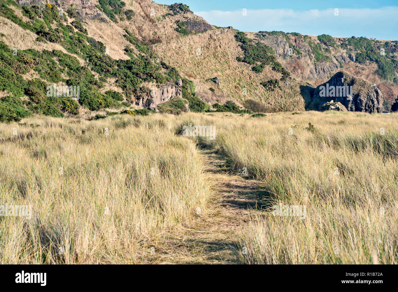 Sandy path through grass on the beach Stock Photo - Alamy