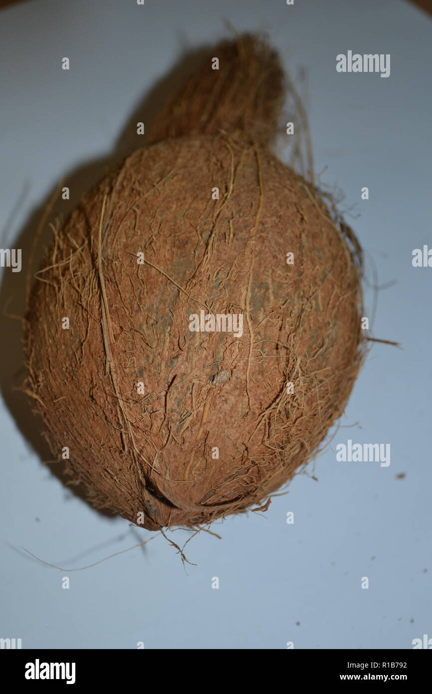 Coconut seed dispersal hi-res stock photography and images - Alamy