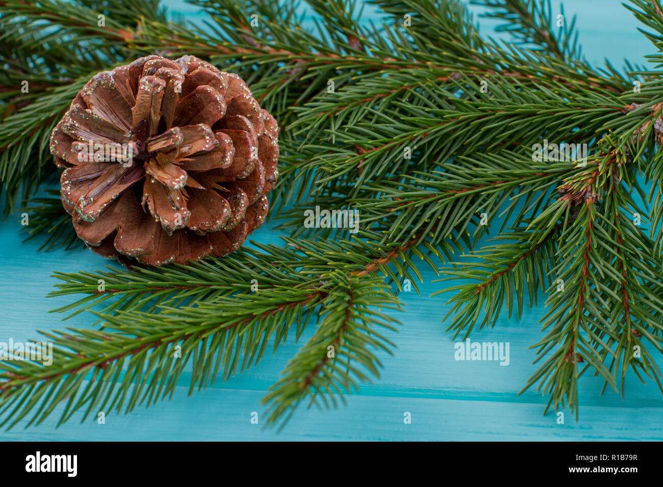 Realistic fir tree branch hi-res stock photography and images - Alamy