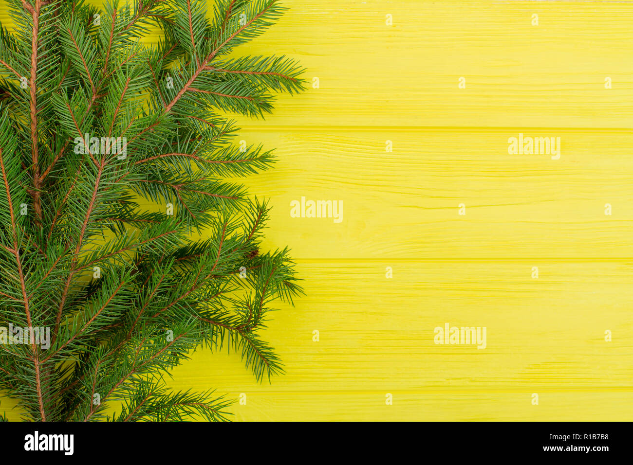 Realistic fir branches border hi-res stock photography and images - Alamy