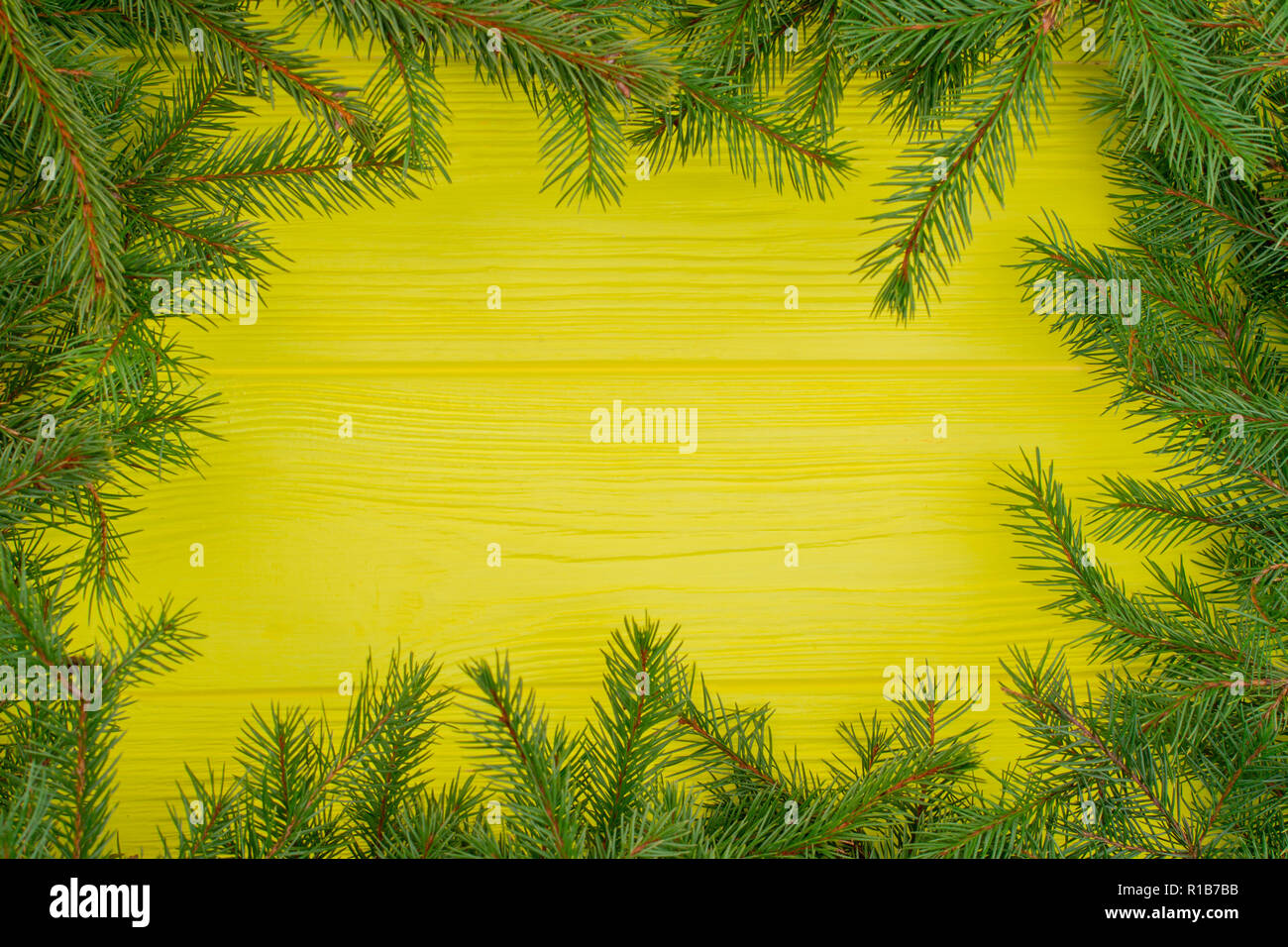 Christmas fir tree frame Stock Photo - Alamy