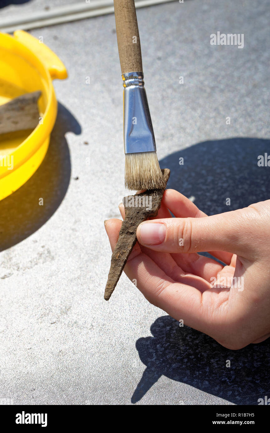 Archaeologist during a field expedition clears brush the find. The iron ...