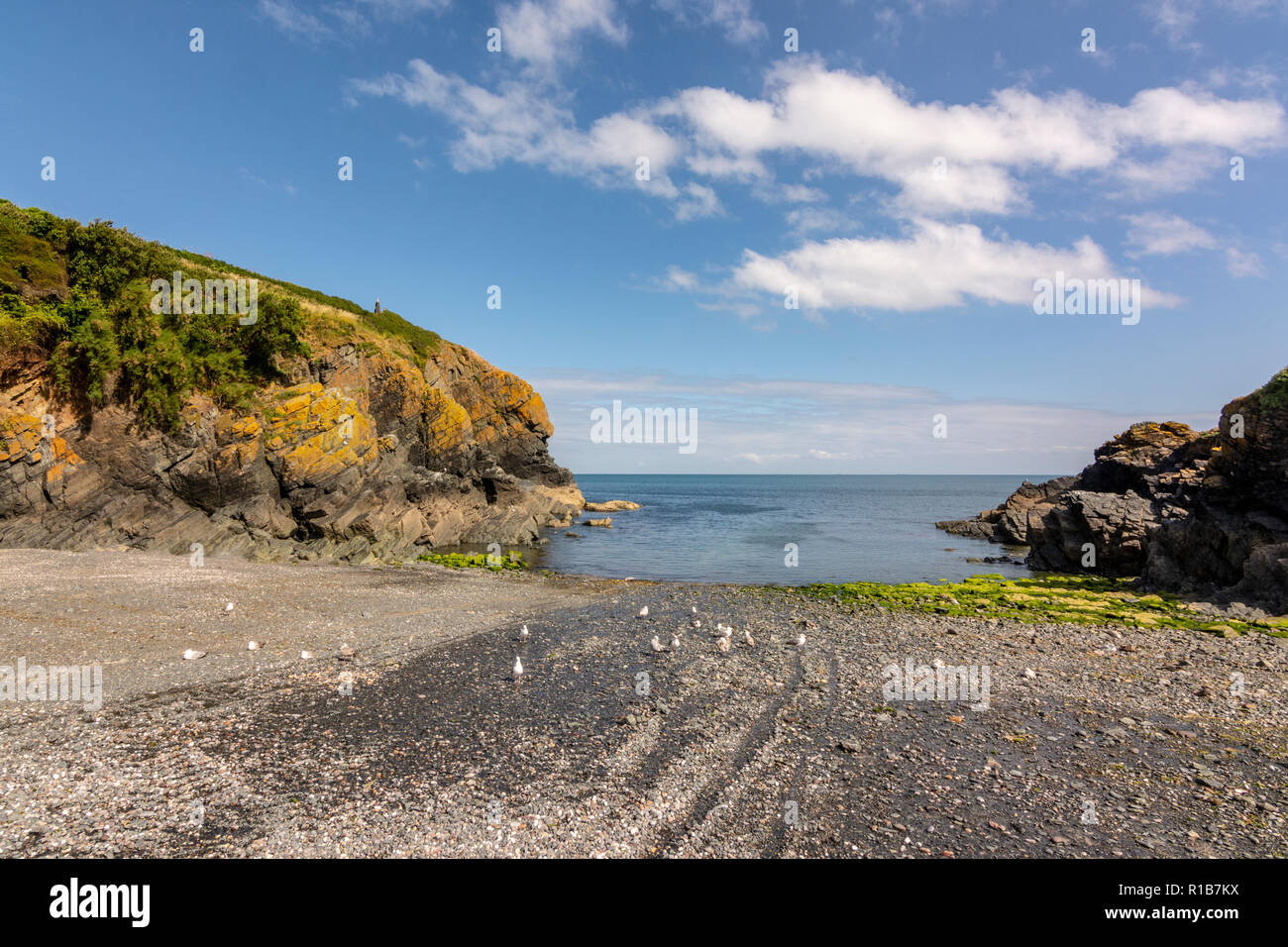 Cadgwith cove and walk hi-res stock photography and images - Alamy