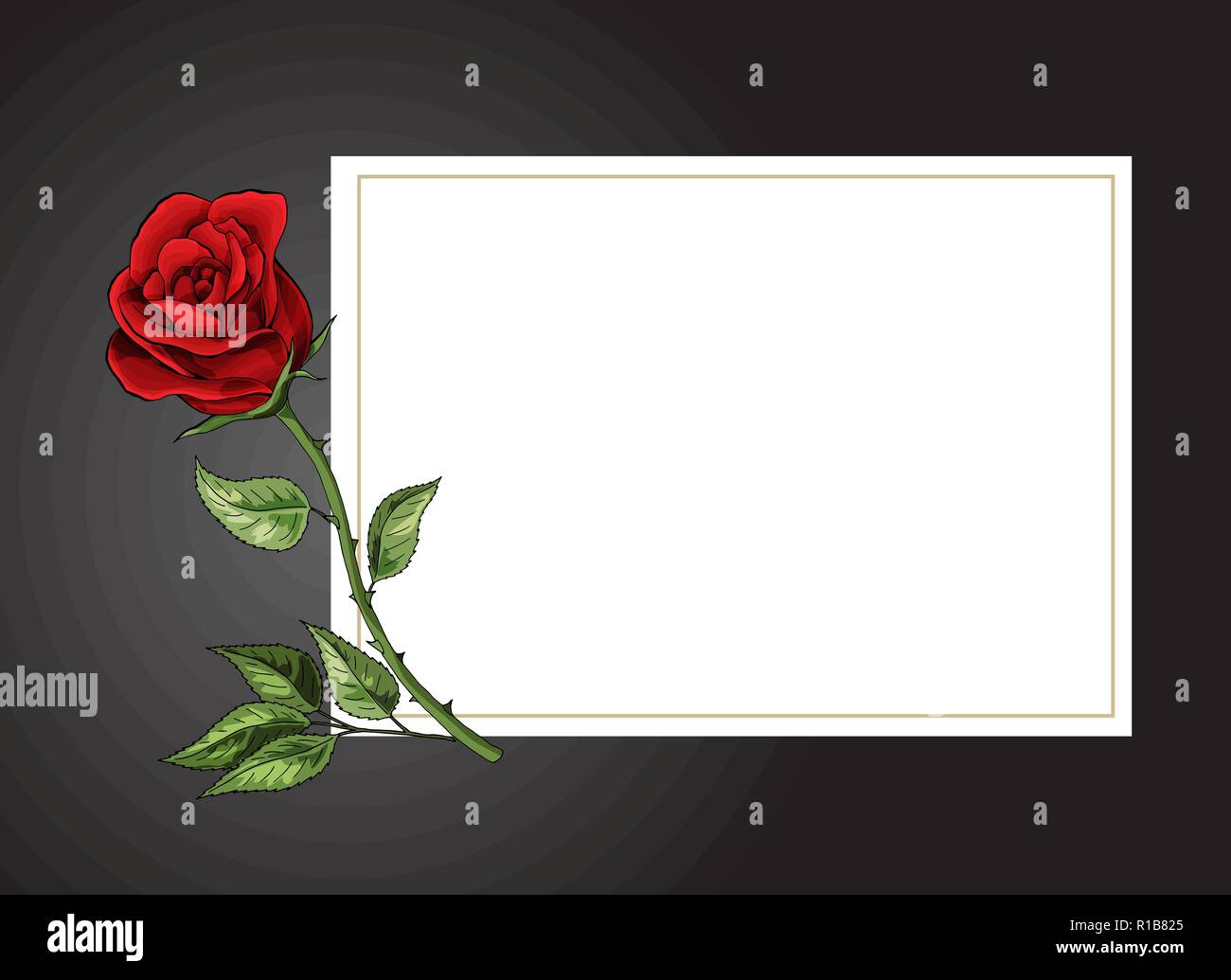 Rose single flower on white background with black border vector ...