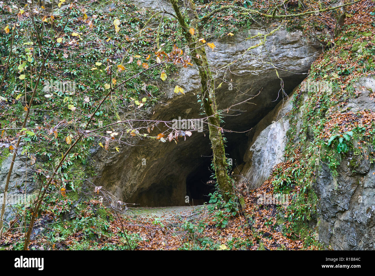 Entrance of a cave in limestone mountains Stock Photo - Alamy