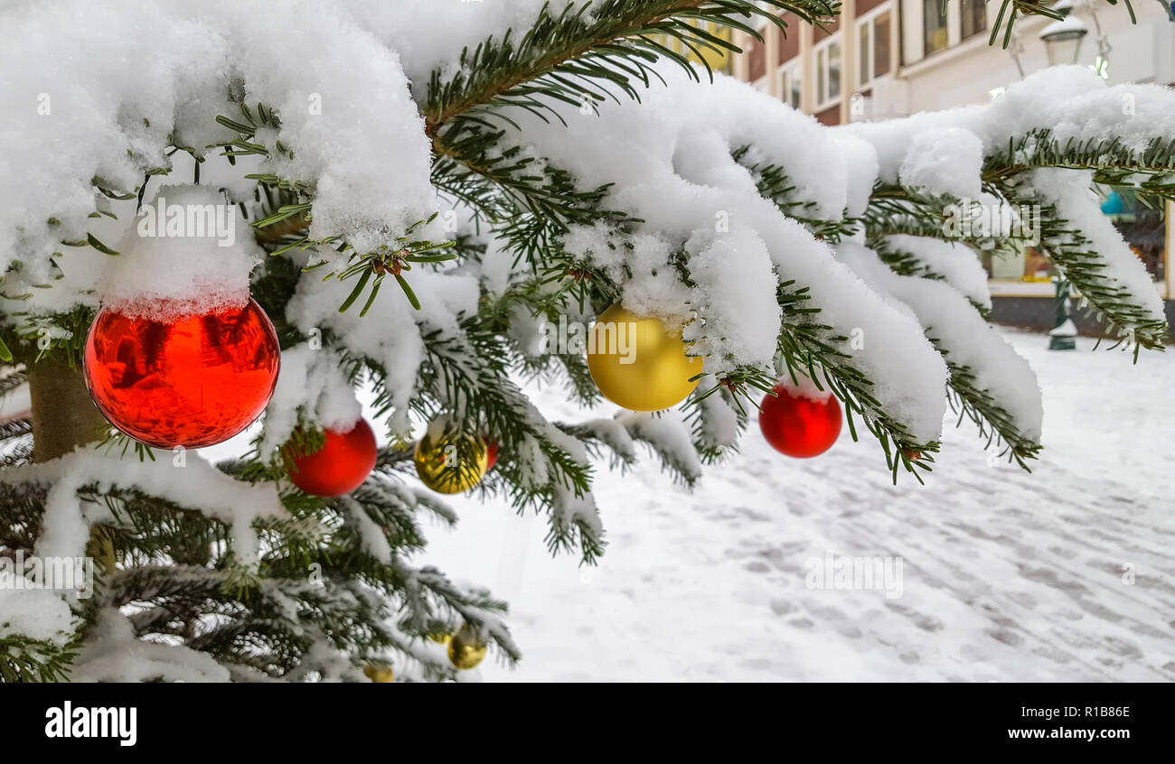 Winter Christmas Tree Scene