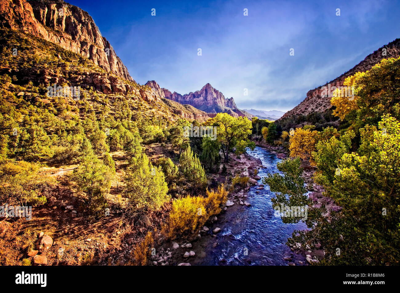 Fall color along the Virgin River looking toward The Watchman in Zion ...