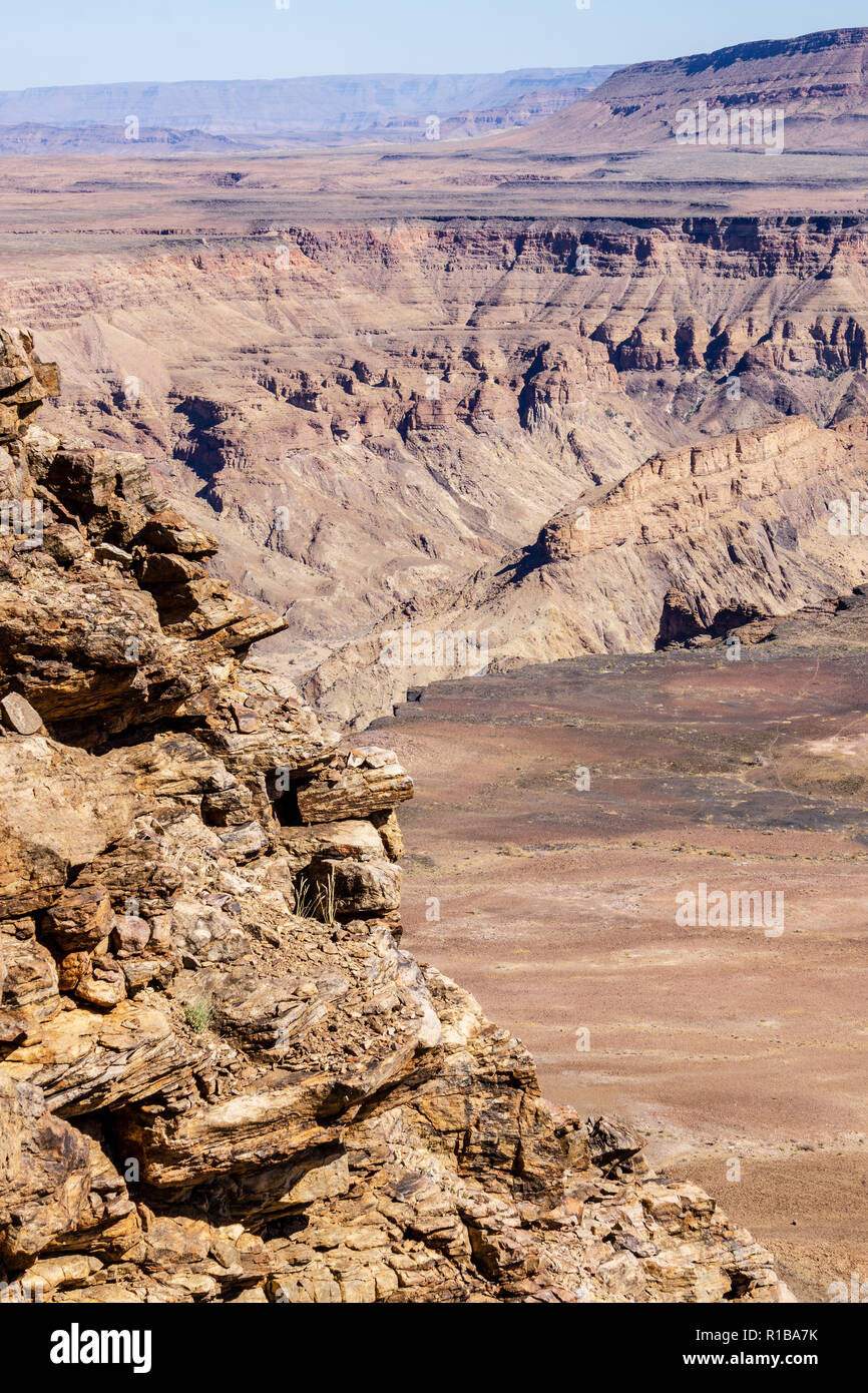Desert fish hi-res stock photography and images - Alamy