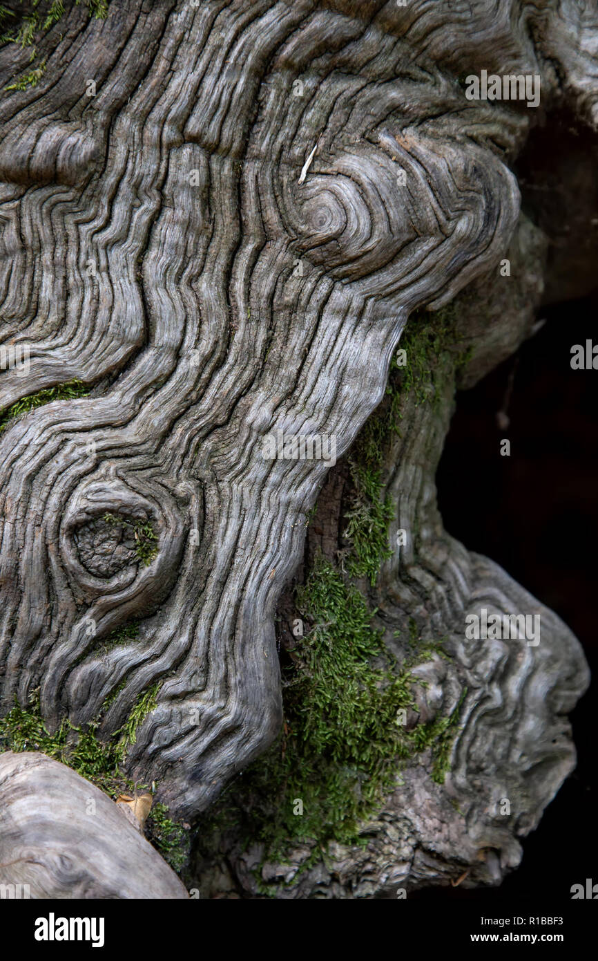 Interesting form and structure hi-res stock photography and images - Alamy