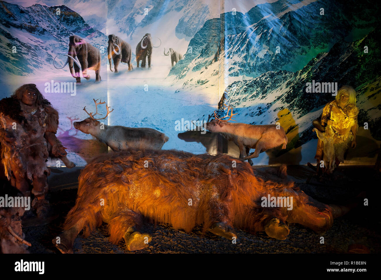 A large prehistoric figures are seen during the DINO Expo XXL. This ...