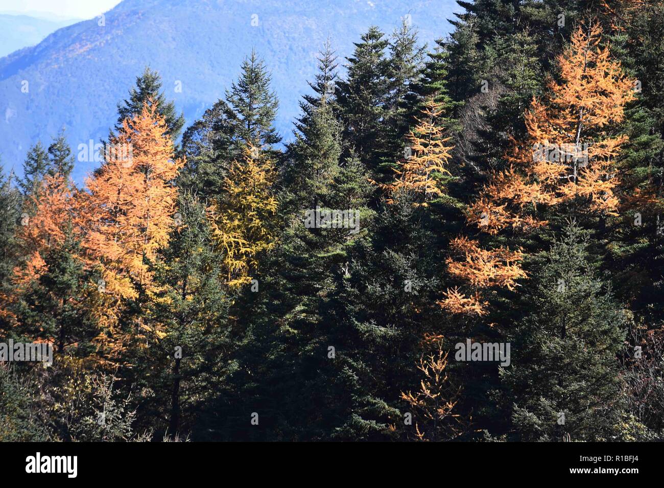 Lijiang. 10th Nov, 2018. Photo taken on Nov. 10, 2018 shows the scenery ...