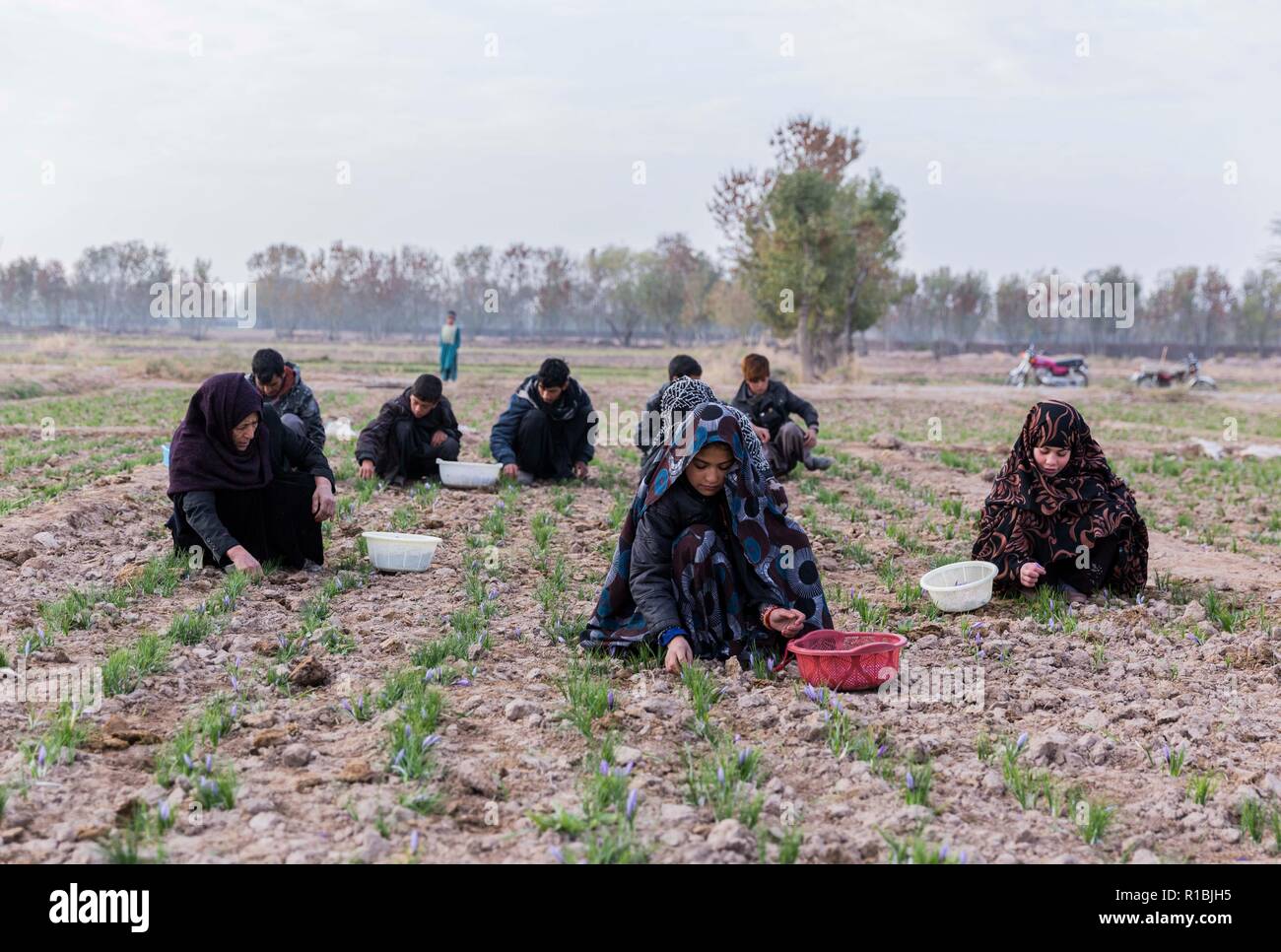 Farmers of the sahel hi-res stock photography and images - Alamy