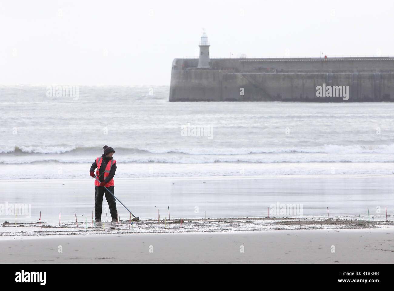 Pages of the sea danny boyle hi-res stock photography and images - Alamy