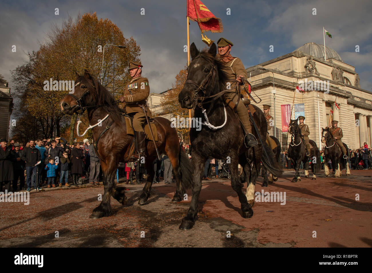 Welsh cob war hi-res stock photography and images - Alamy