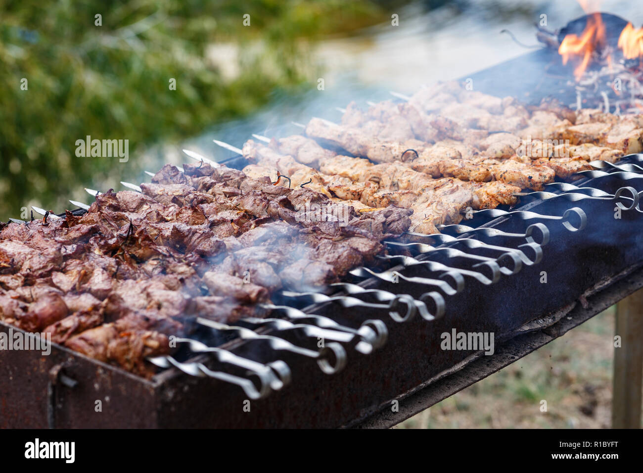 a shish kebab from meat of a different kind is fried on a grill ...