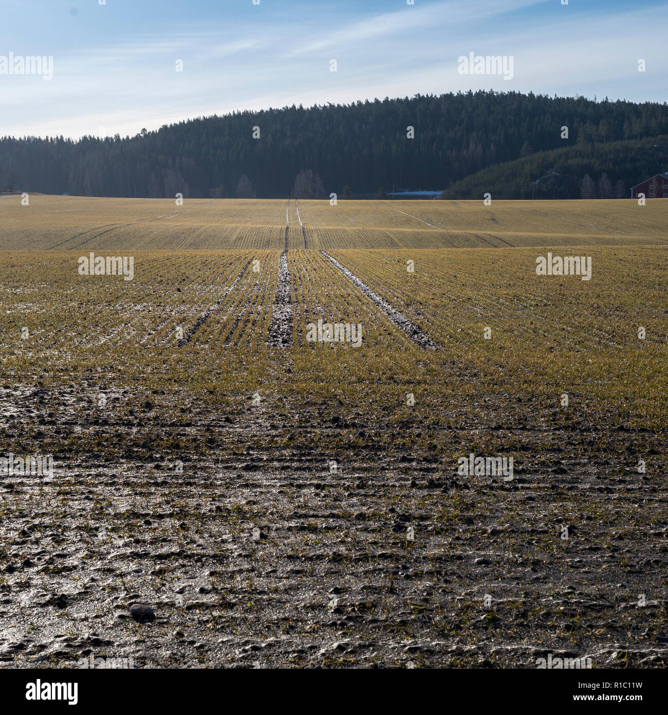 Dull day photography hi-res stock photography and images - Alamy
