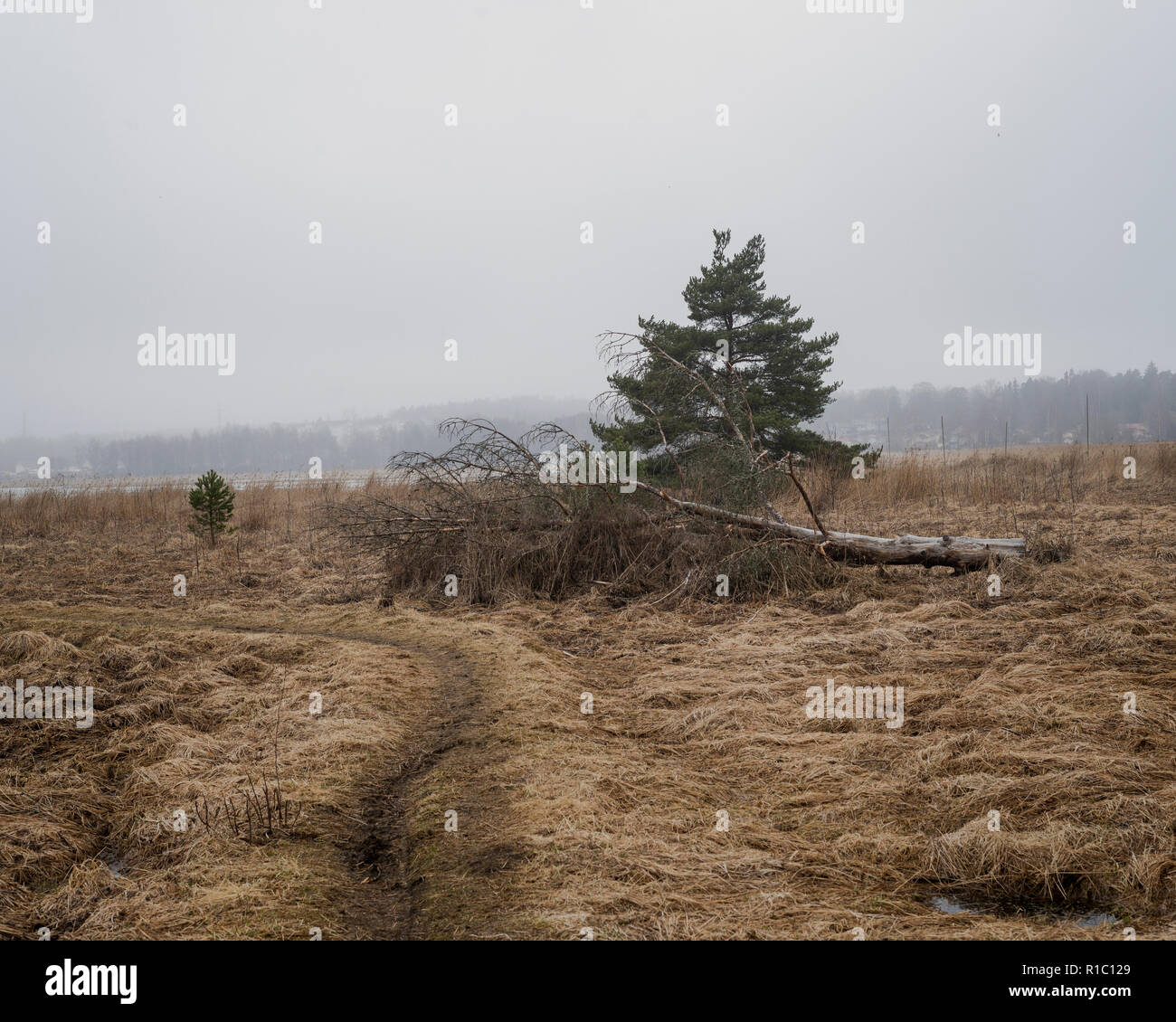 Dull day photography hi-res stock photography and images - Alamy