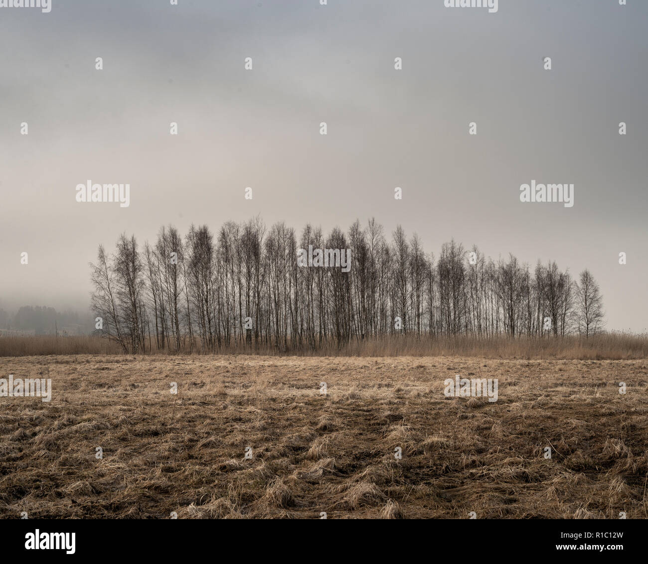 Dull depression hi-res stock photography and images - Alamy