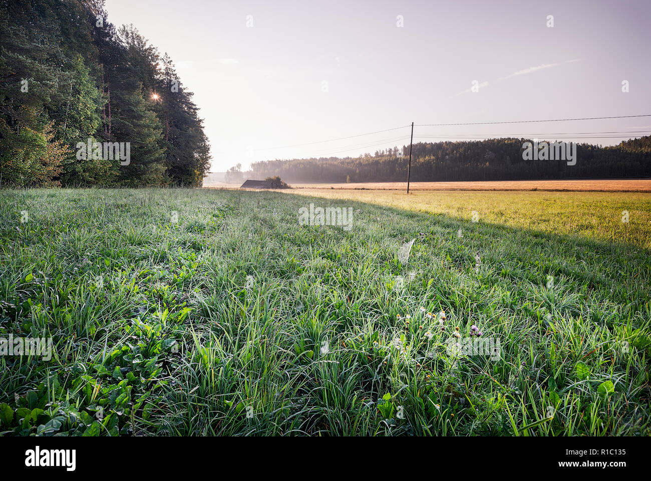 Dull day photography hi-res stock photography and images - Alamy