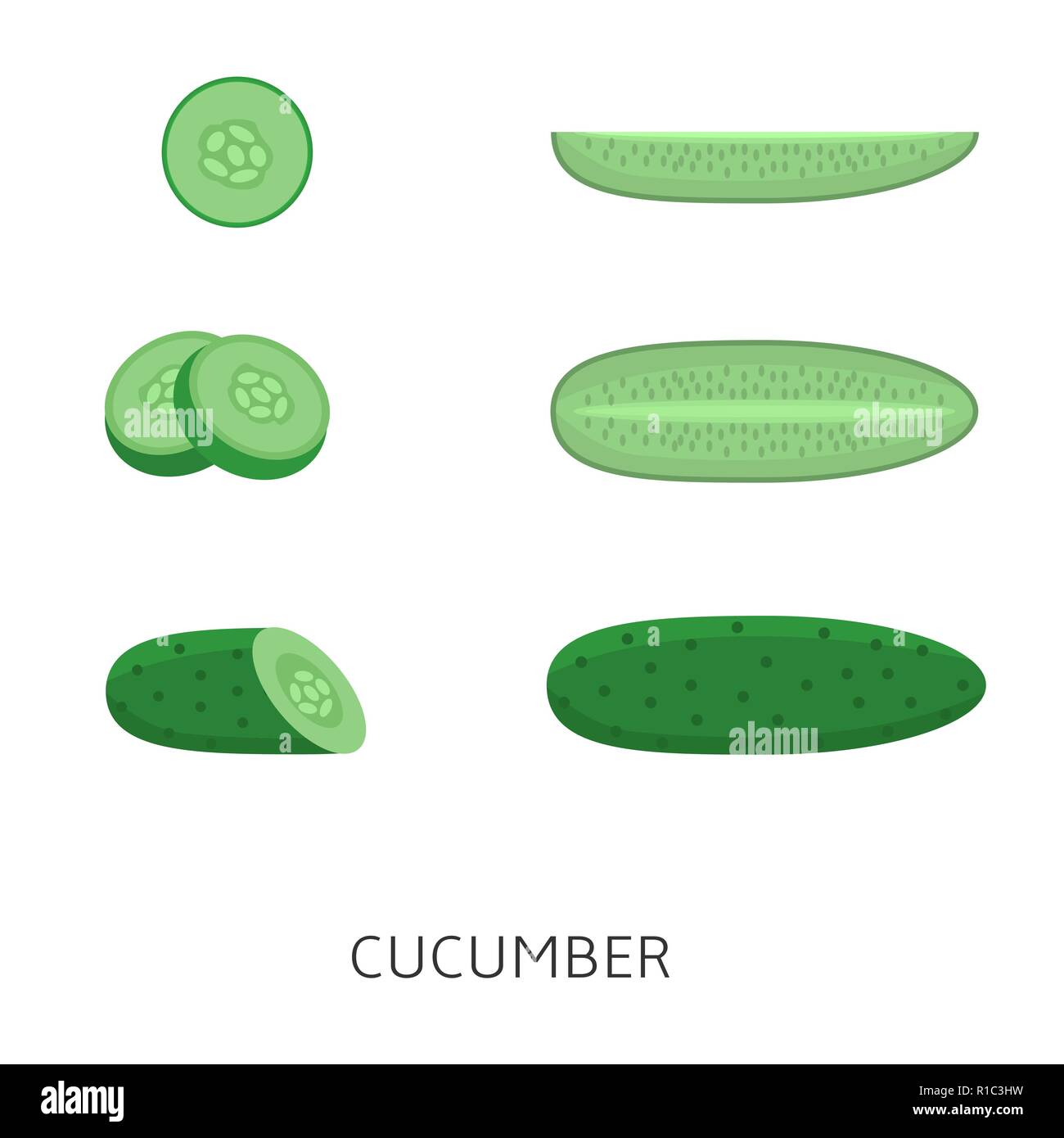 Cucumber set isolated.Vector illustration vegan concept Stock Vector ...
