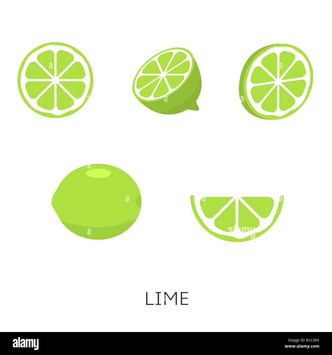Lime set isolated.Vector illustration vegan concept Stock Vector Image ...