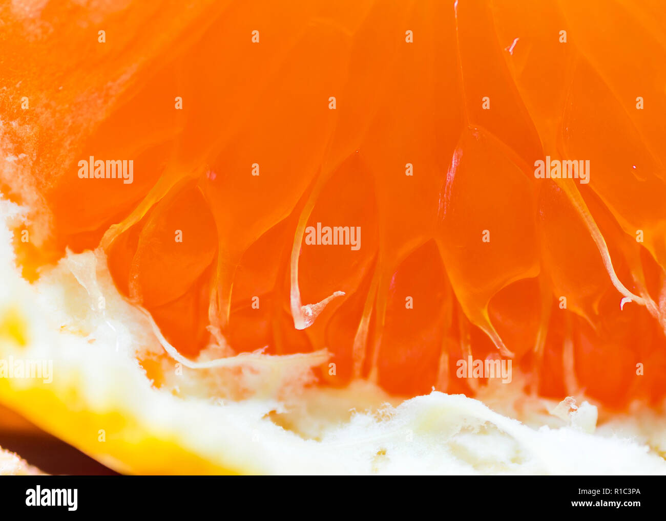 Fresh orange peel hi-res stock photography and images - Alamy
