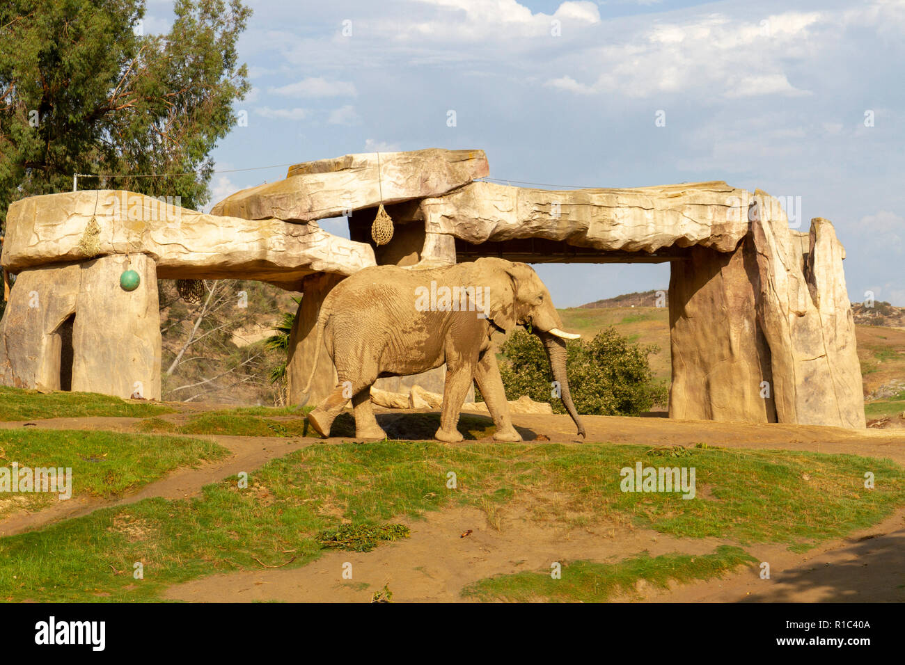 Elephant valley hi-res stock photography and images - Alamy