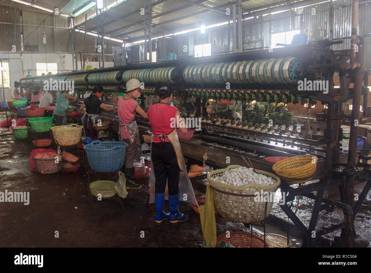 women working silk factory in danang vietnam Stock Photo - Alamy