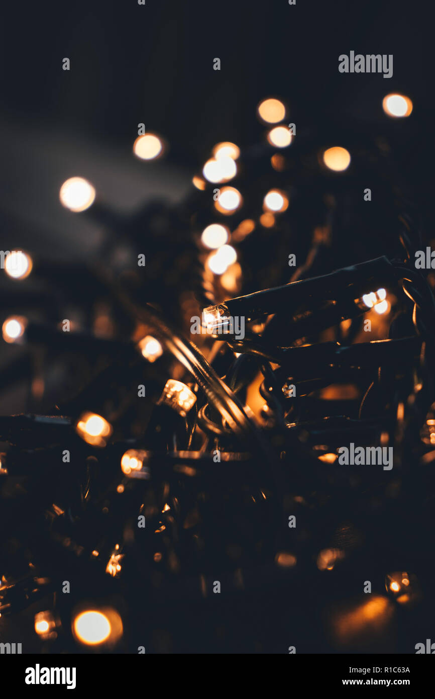 Fairy lights wrapped around hi-res stock photography and images - Alamy