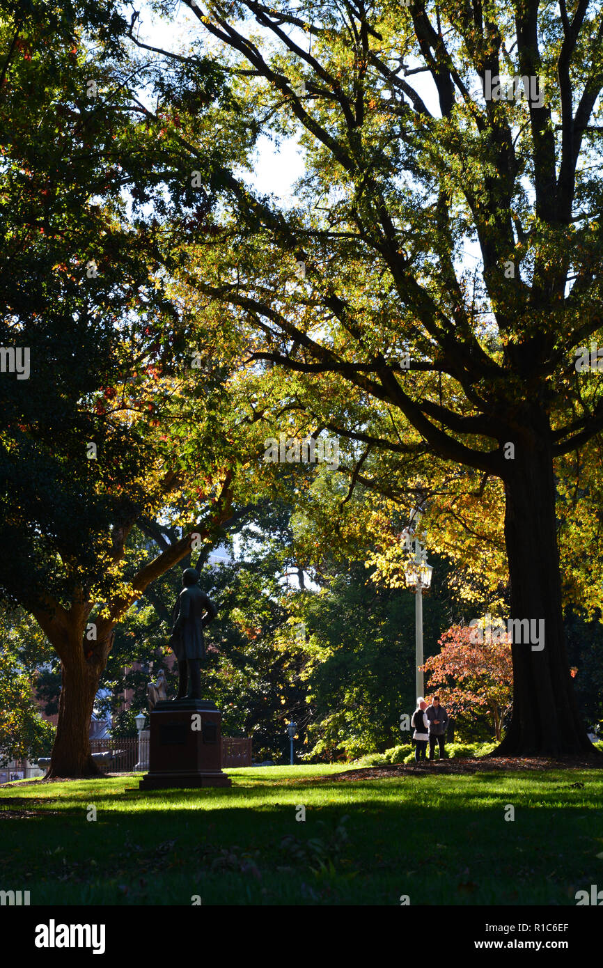 The late afternoon sun illuminates the autumn leaves in the grounds ...
