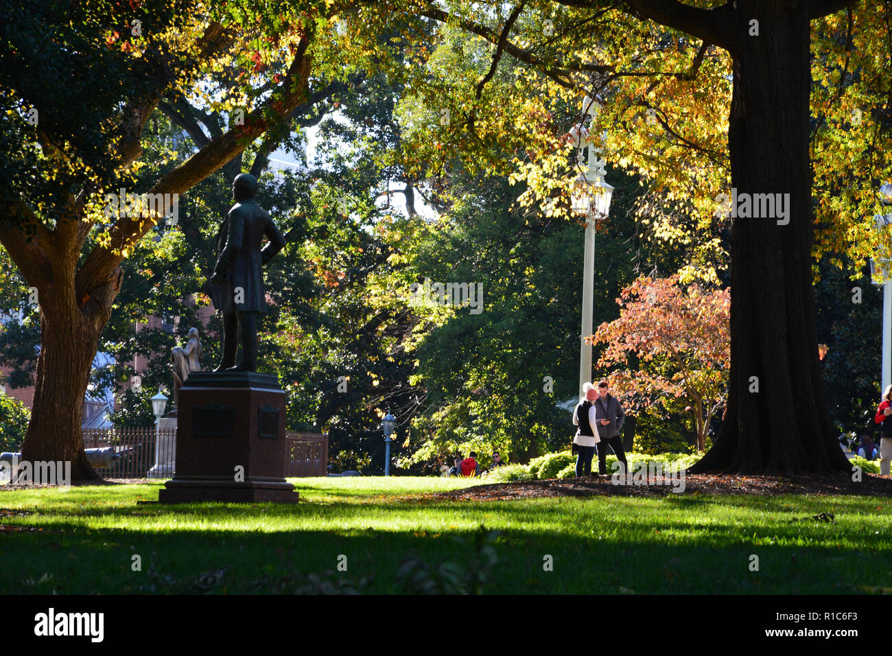 The late afternoon sun illuminates the autumn leaves in the grounds ...