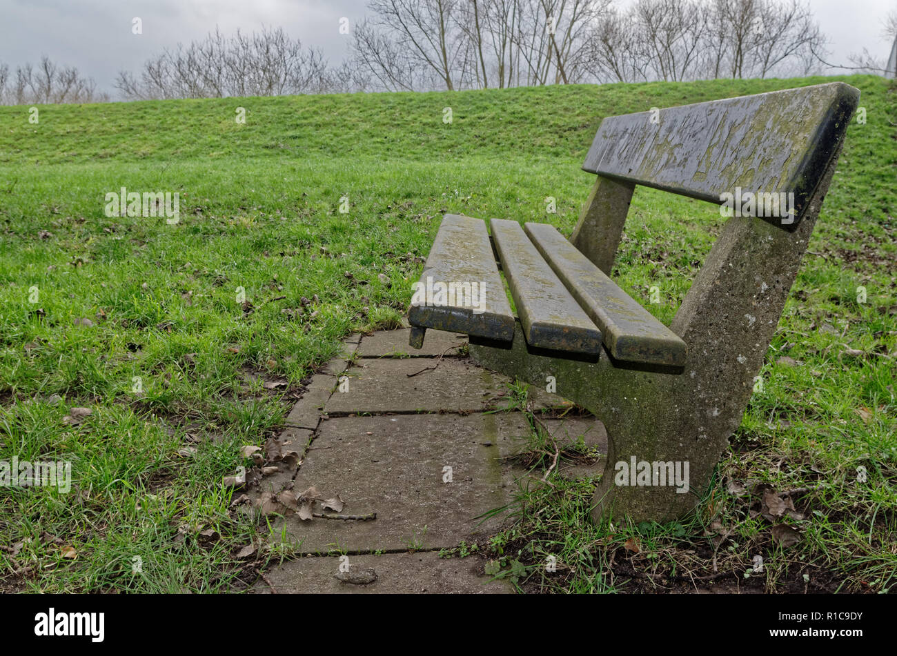 Close-up photo of a stone bench on a meadow, Hamburg, Germany Stock ...