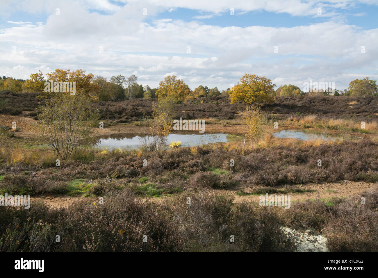 Broxhead hi-res stock photography and images - Alamy