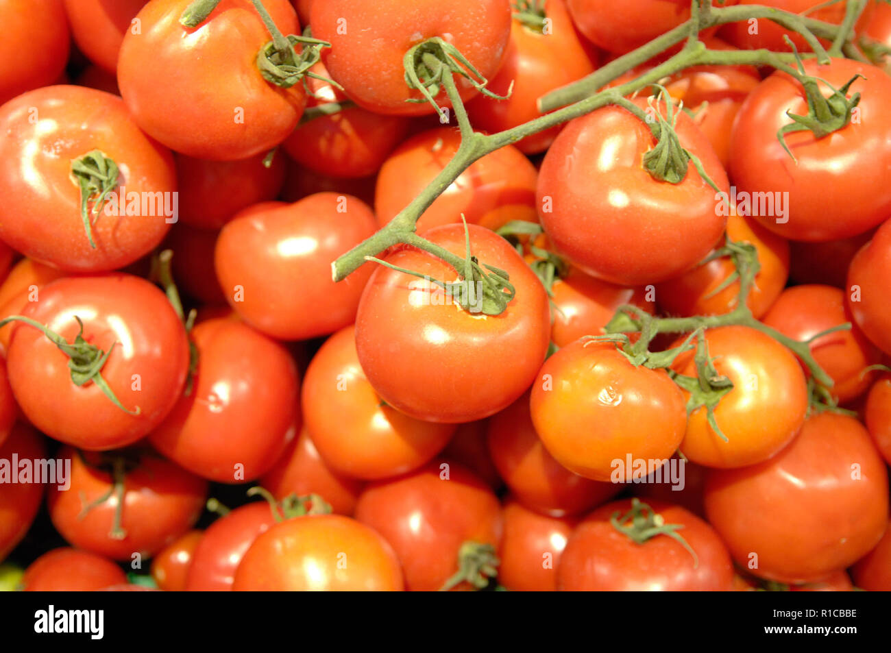 Shining tomato hi-res stock photography and images - Alamy