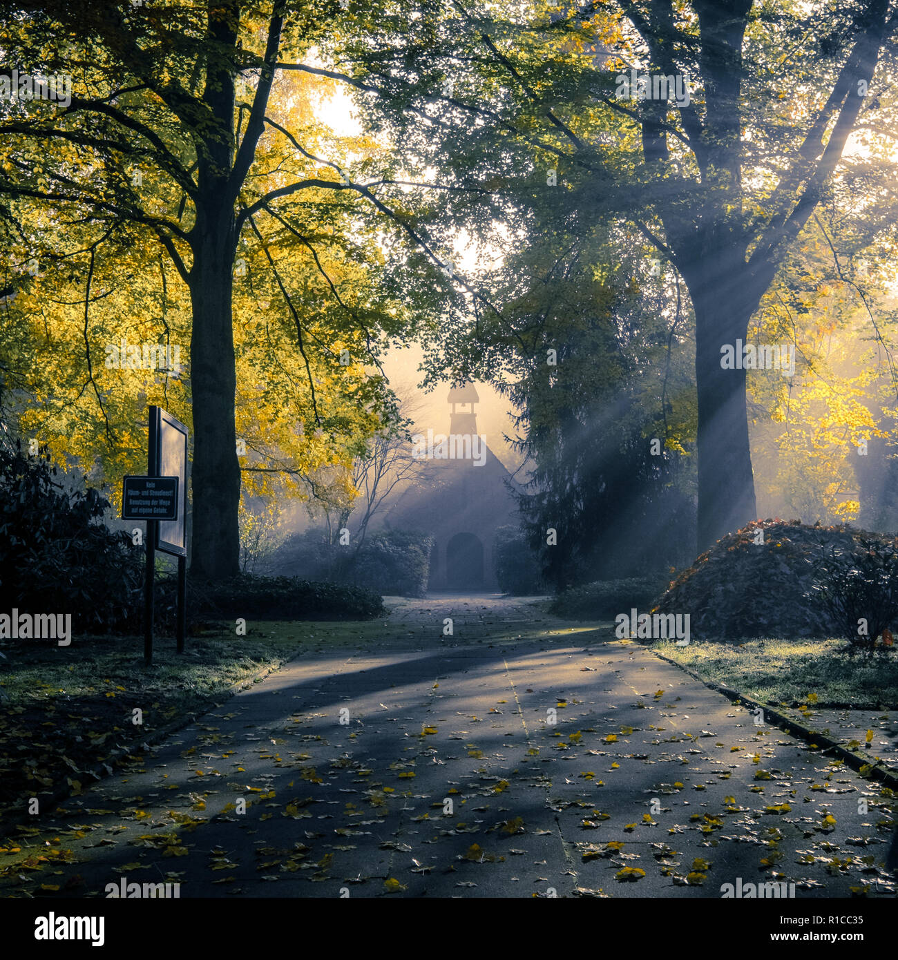 Mist cemetery hi-res stock photography and images - Alamy