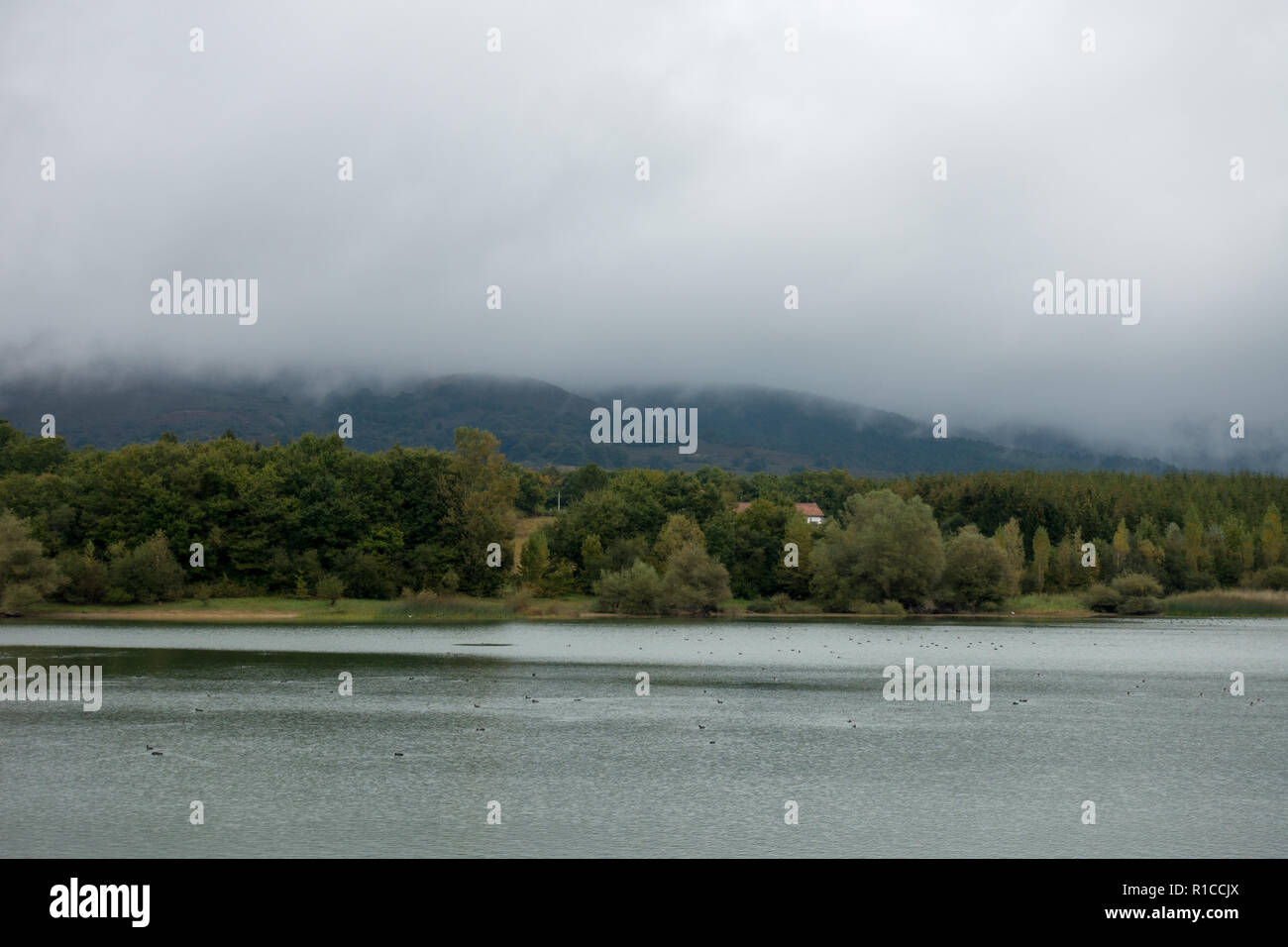 The reservoir of ullibarri-gamboa in Álava, Basque Country, Spain Stock ...