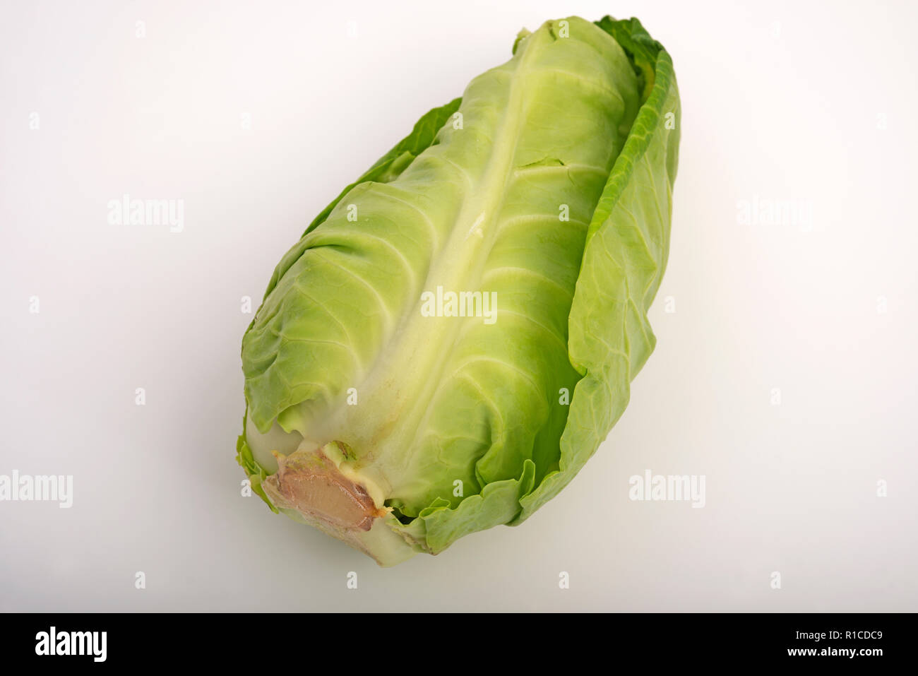 Pointed cabbage hi-res stock photography and images - Alamy
