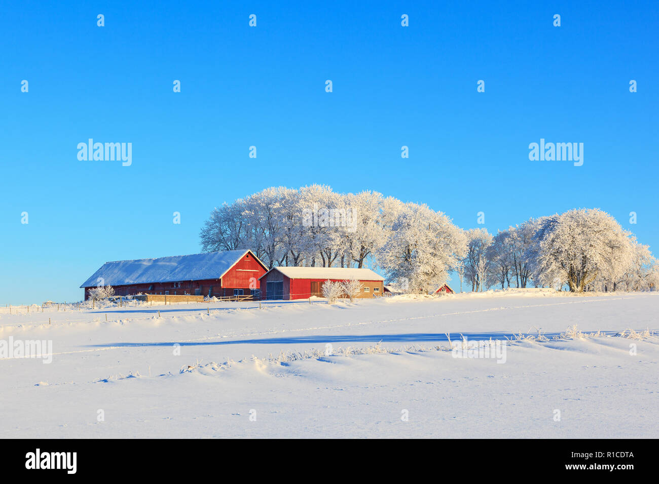 Farm on a hill in a beautiful winter landscape Stock Photo - Alamy