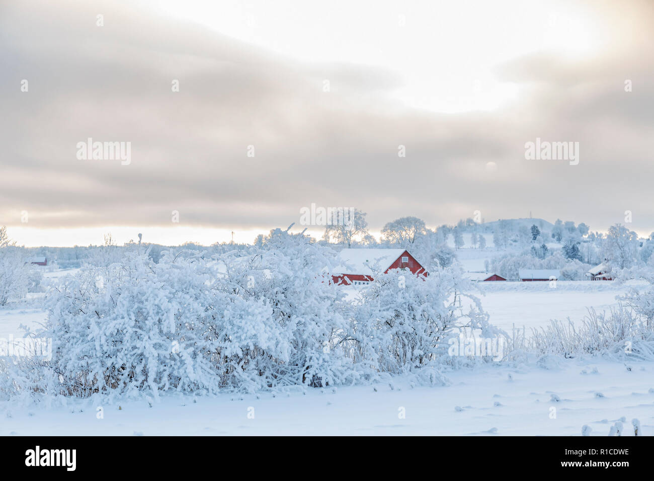 Cold wintry rural landscape views Stock Photo - Alamy