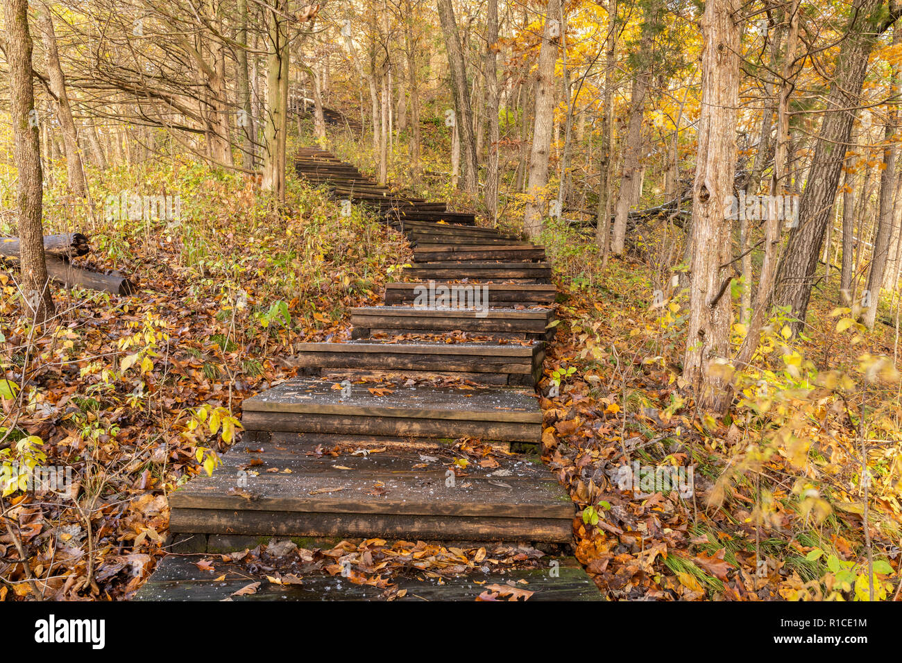 Steps in fall of autumn hi-res stock photography and images - Alamy