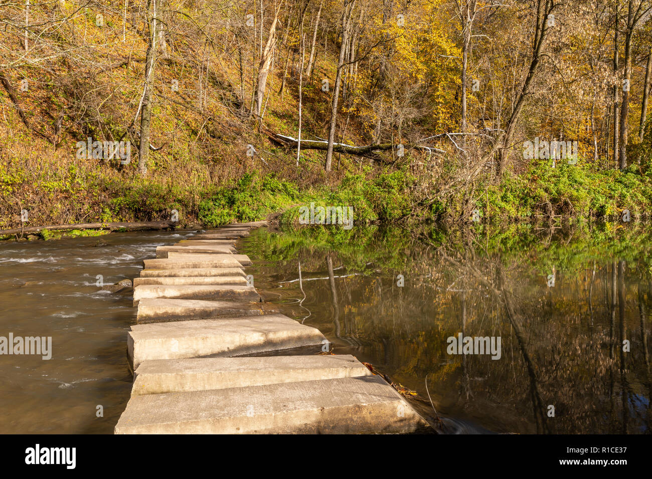 Trees river bridge footbridge hi-res stock photography and images - Alamy