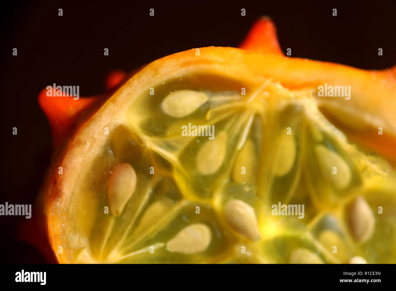 Kiwano melon (Cucumis metuliferus), "African Horned Melon Stock Photo ...