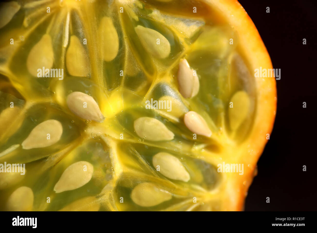 Kiwano melon (Cucumis metuliferus), "African Horned Melon Stock Photo ...