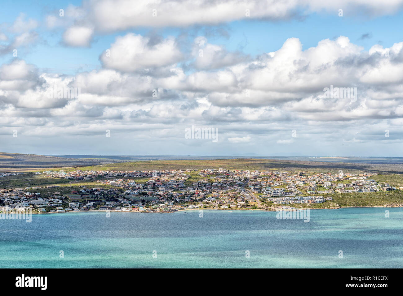 Perlemoen south africa hi-res stock photography and images - Alamy