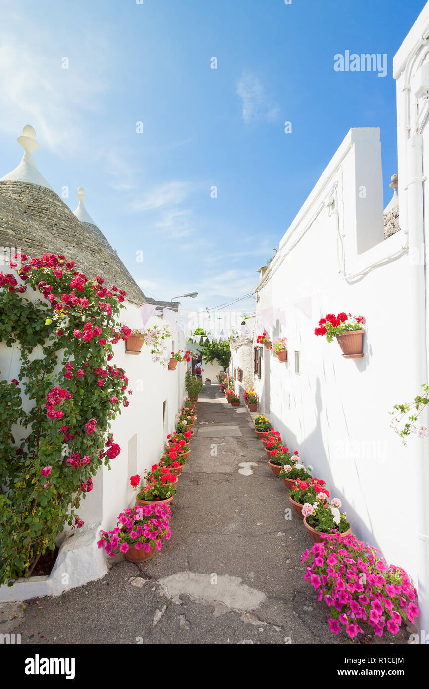 Alberobello, Apulia, Italy - Streets full of flowers within the ...