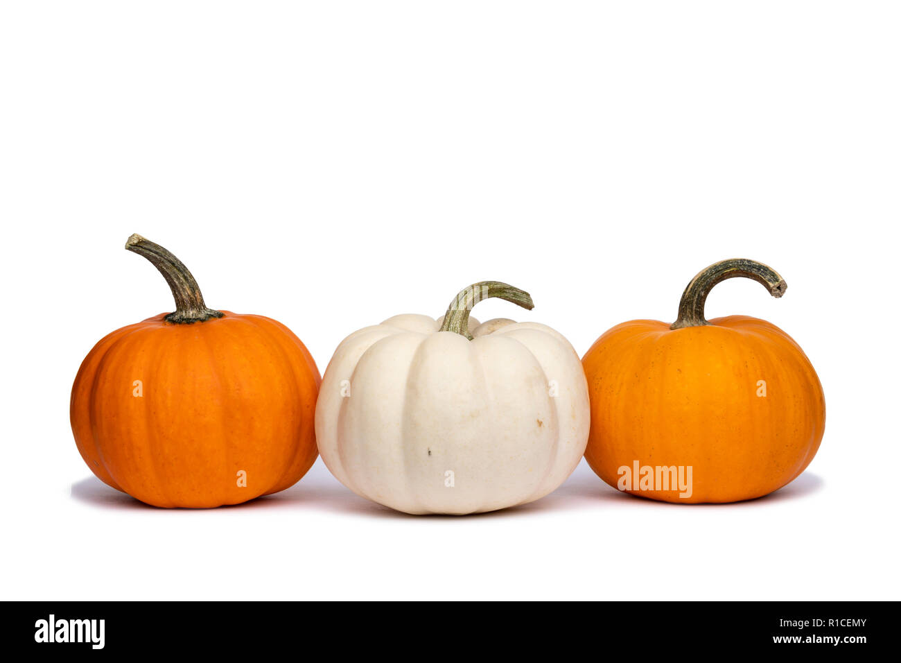 Three Mini Pumpkins - One white pumpkin between two orange pumpkins ...