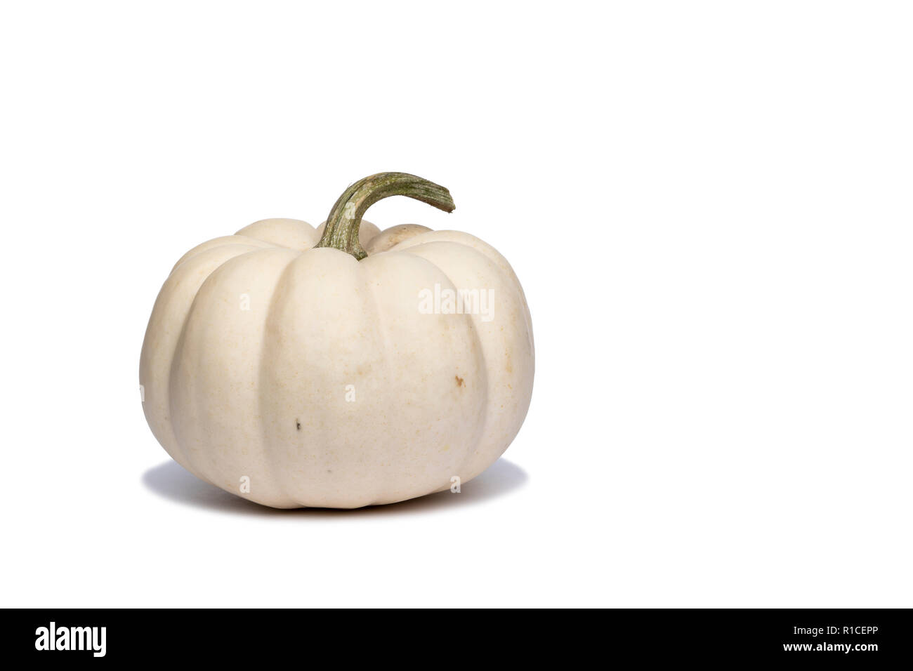Mini Gourd High Resolution Stock Photography and Images - Alamy